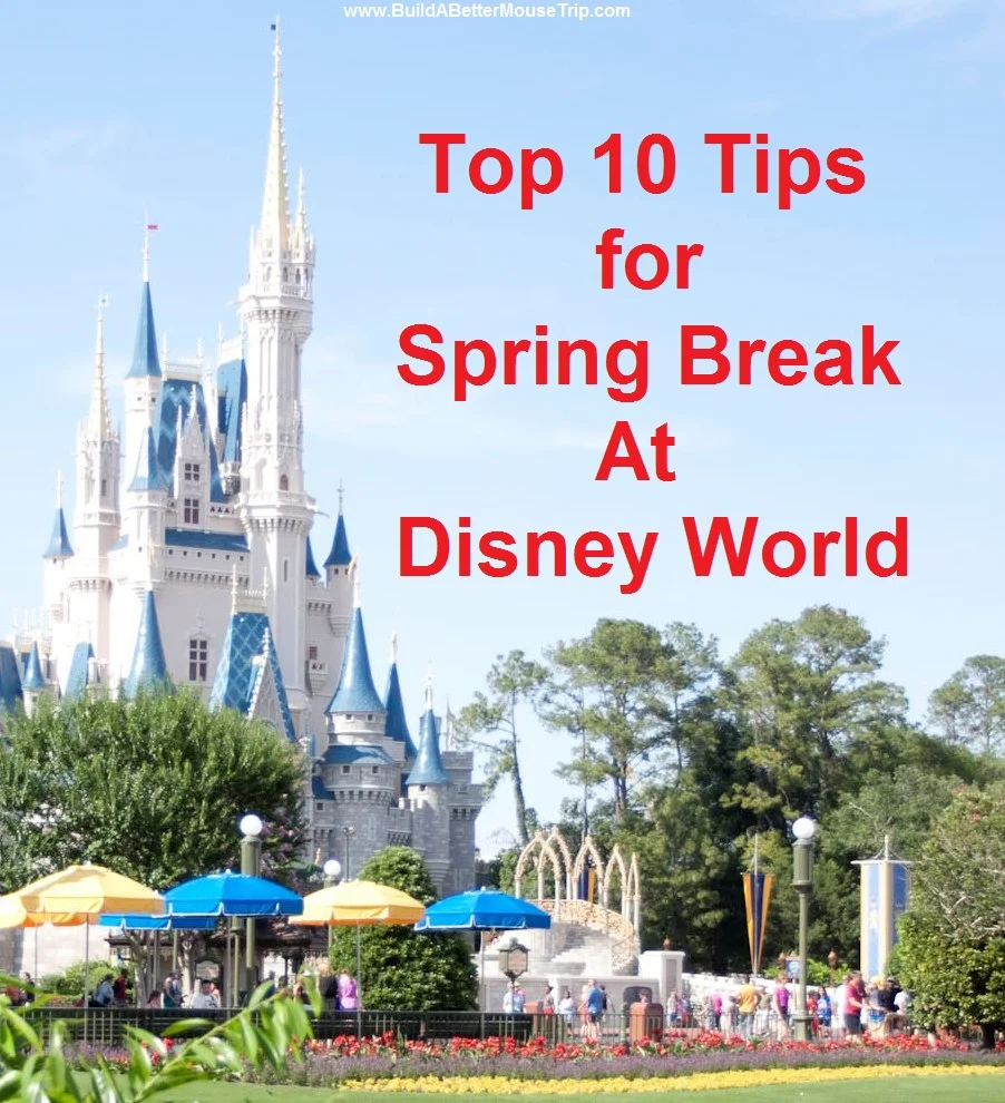 Disney World Spring Break Tips