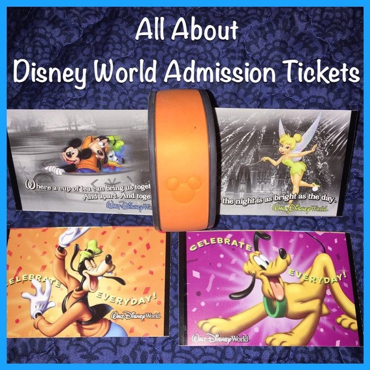 Disney World Theme Park Ticket Information
