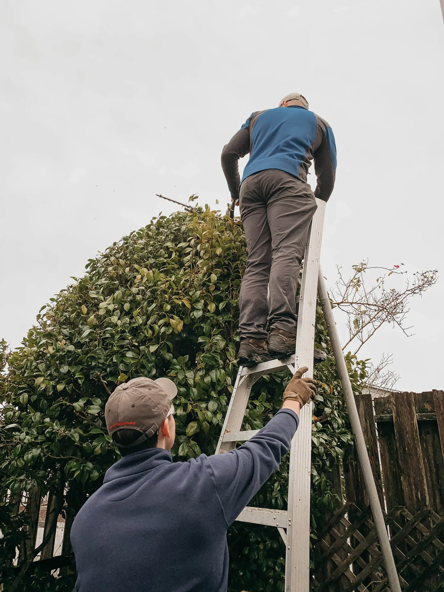 Living works — Living Word Oak Harbor Foursquare