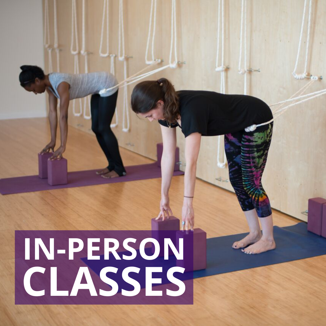 Dhyana Yoga Arts, Vinyasa, Yoga for Backcare & Scoliosis, Restorative ...