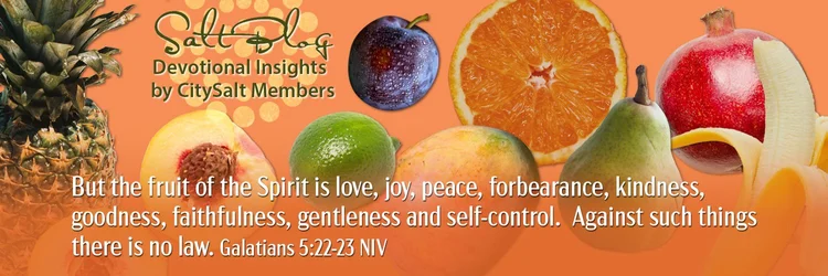 Fruits of the Spirit | Love - The Best Fruit — CitySalt Church