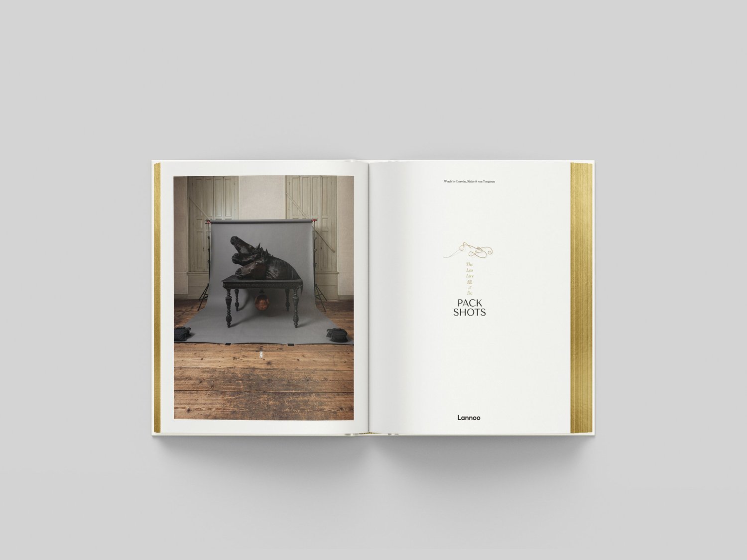 BOOKS — Fine Taxidermy by Darwin, Sinke & van Tongeren