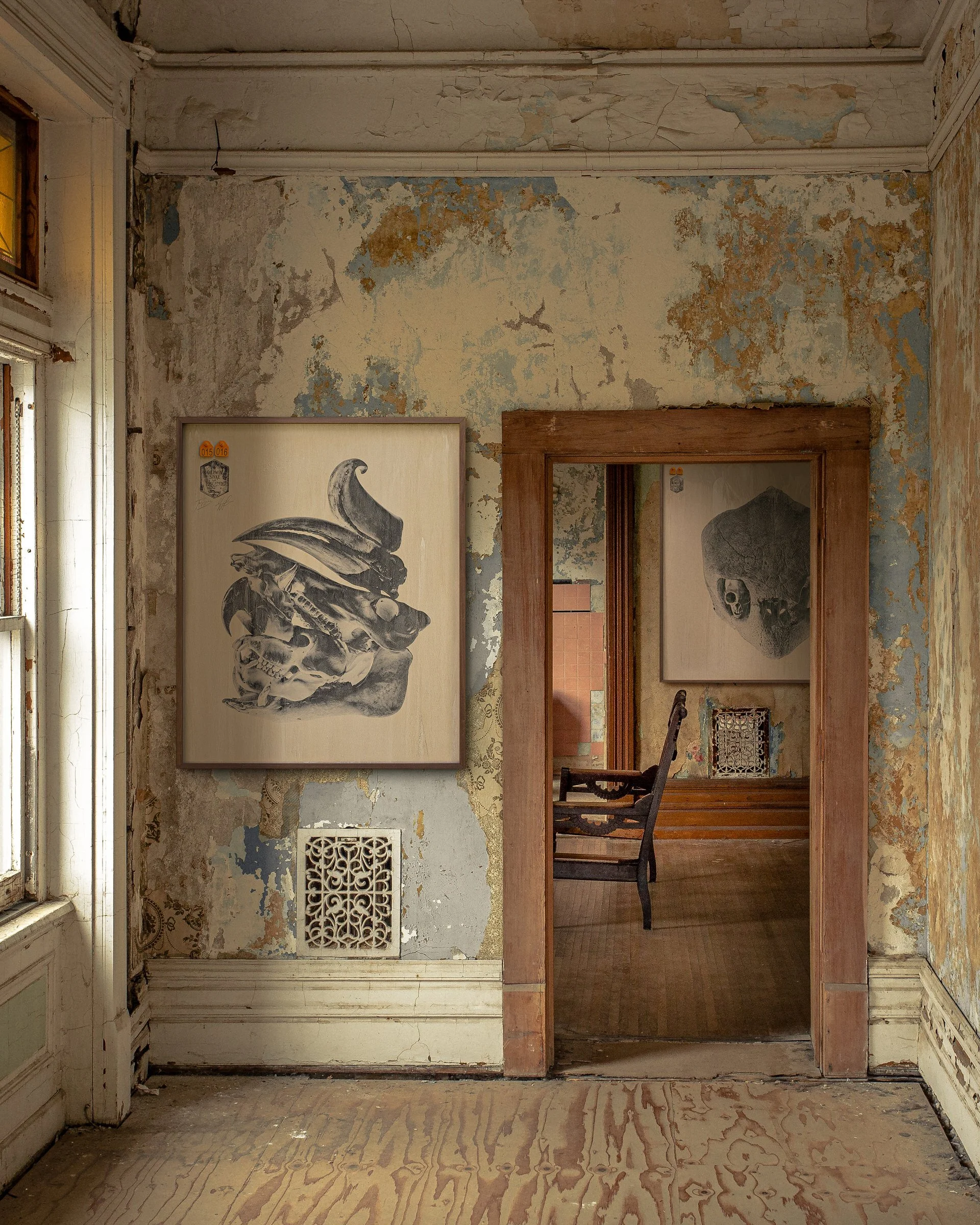 CATTLE & CONCRETE — Fine Taxidermy by Darwin, Sinke & van Tongeren