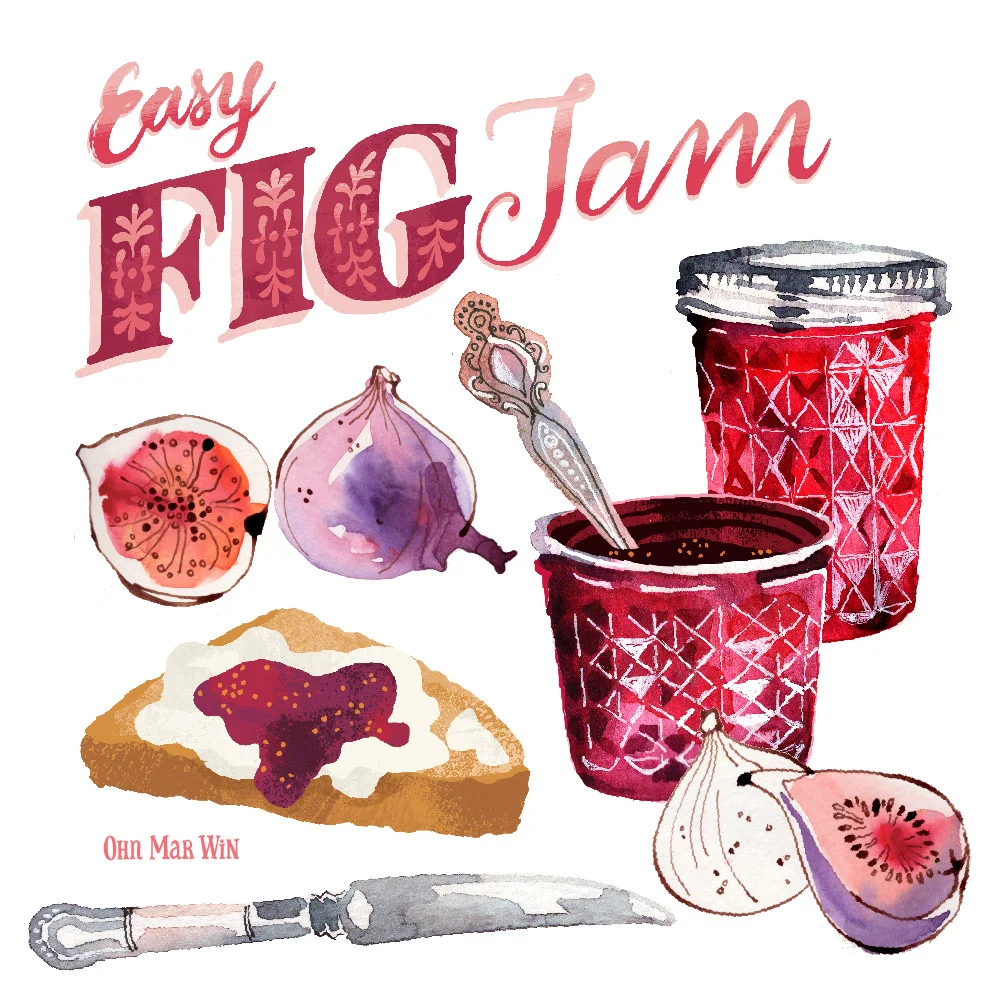Fig Jam — Ohn Mar Win Illustration