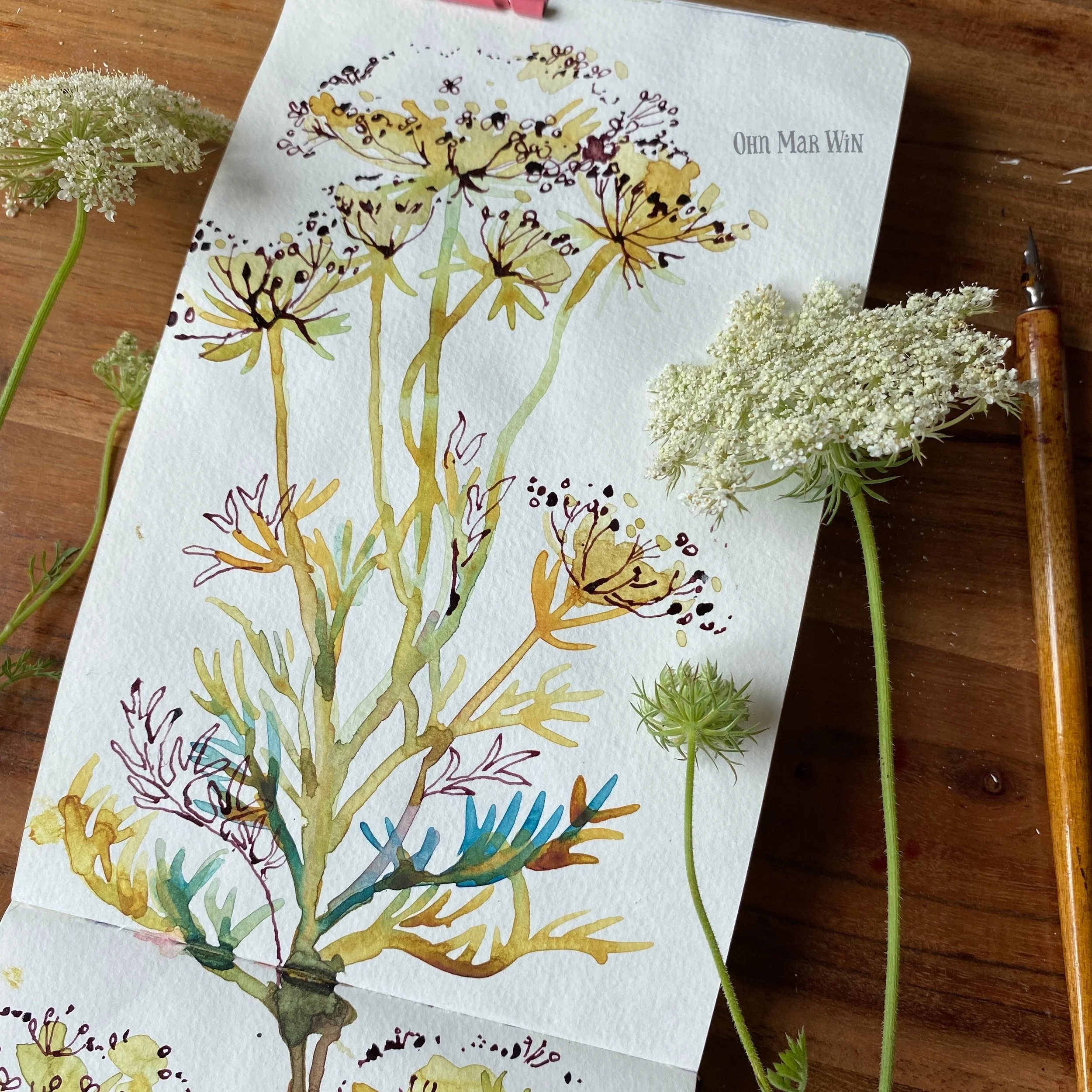 Organic Expressive Florals : Spring 2020 — Ohn Mar Win Illustration
