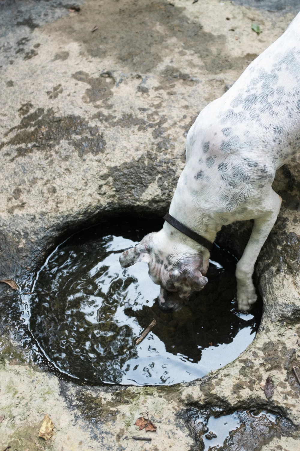 Blog — Michael Flores