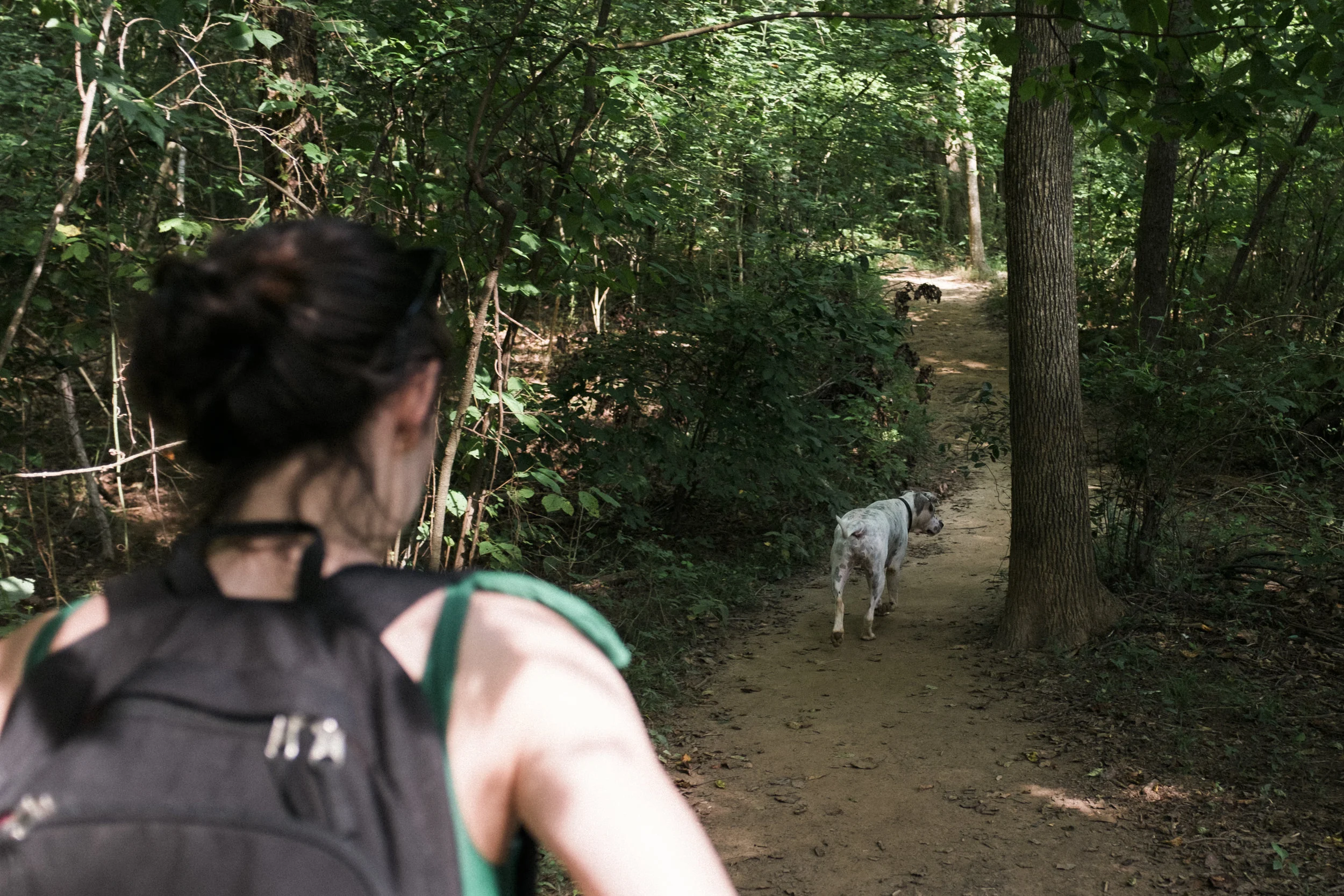 Blog — Michael Flores