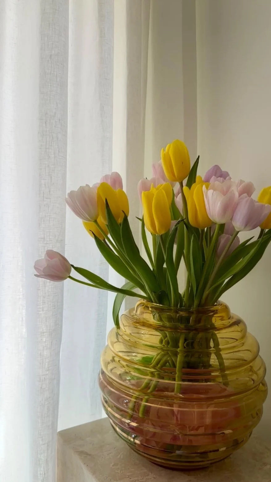 Ally Pledge - Jove Meyer