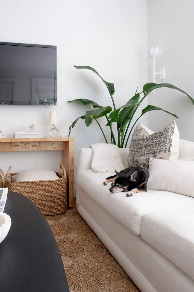 Our Napa Living Room with Havenly — Tyler Harless