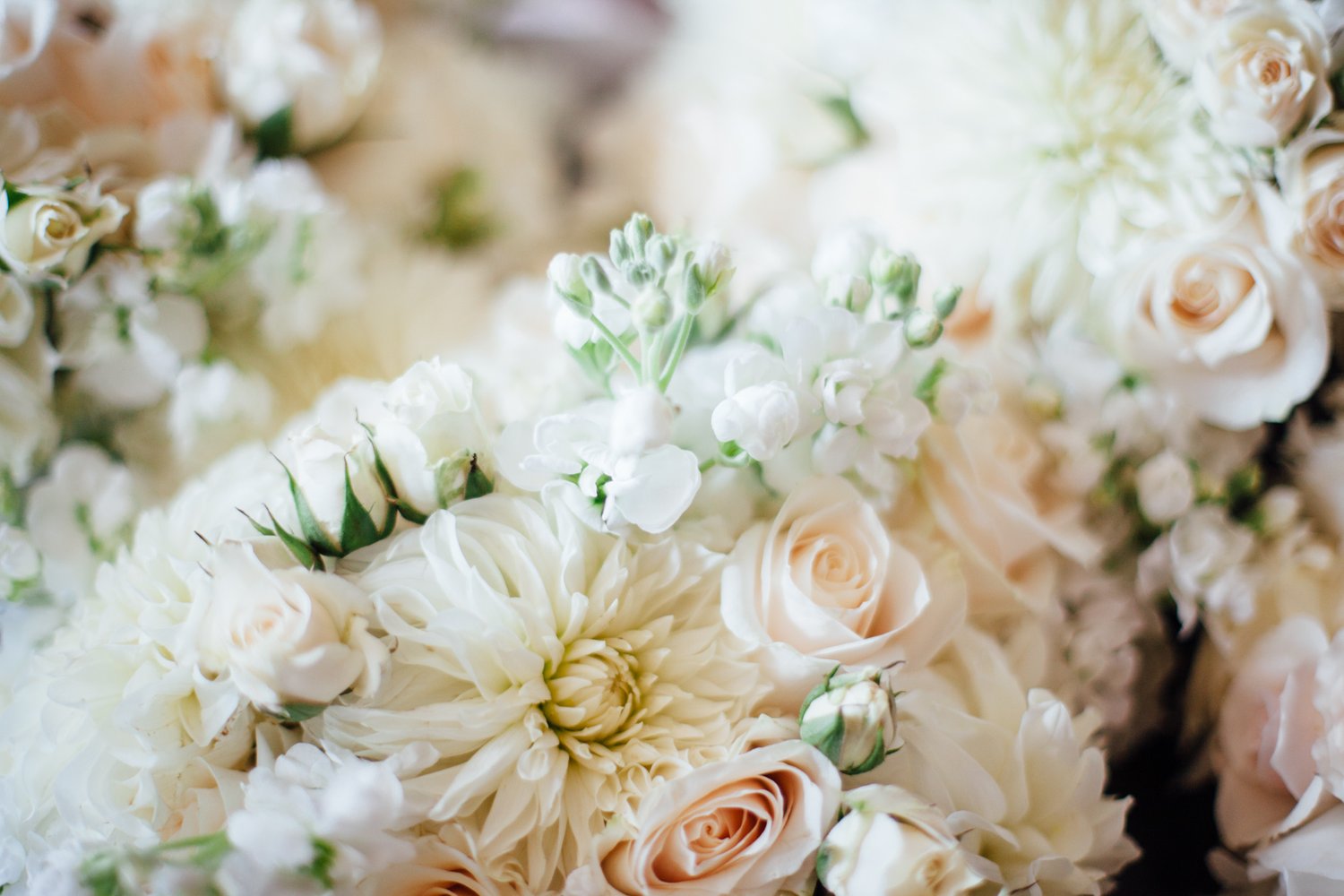 Tess & Matt | Washington, DC Black Tie Wedding — Sarah Mattozzi