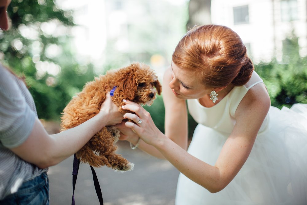 Tess & Matt | Washington, DC Black Tie Wedding — Sarah Mattozzi