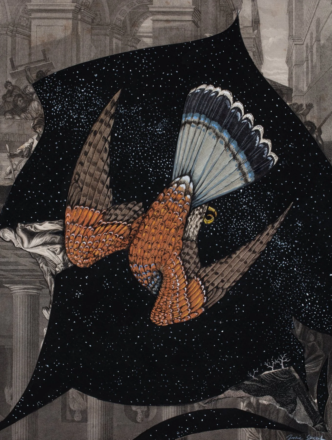 2019 & 2020 — JULIE SPEED