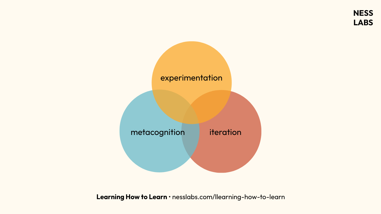 Blog — Institute for the Future of Learning