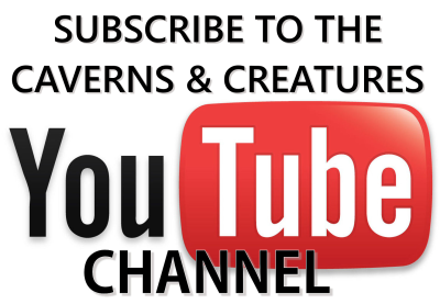 Dancing Sword 5e — Caverns & Creatures