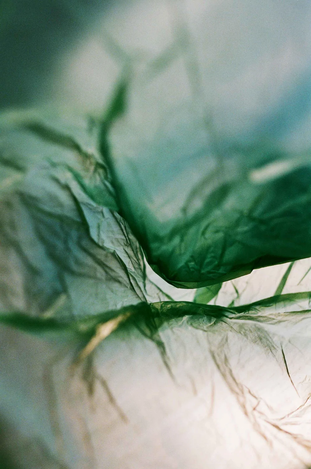 Exploring the qualities of translucent material, abstraction and light ...