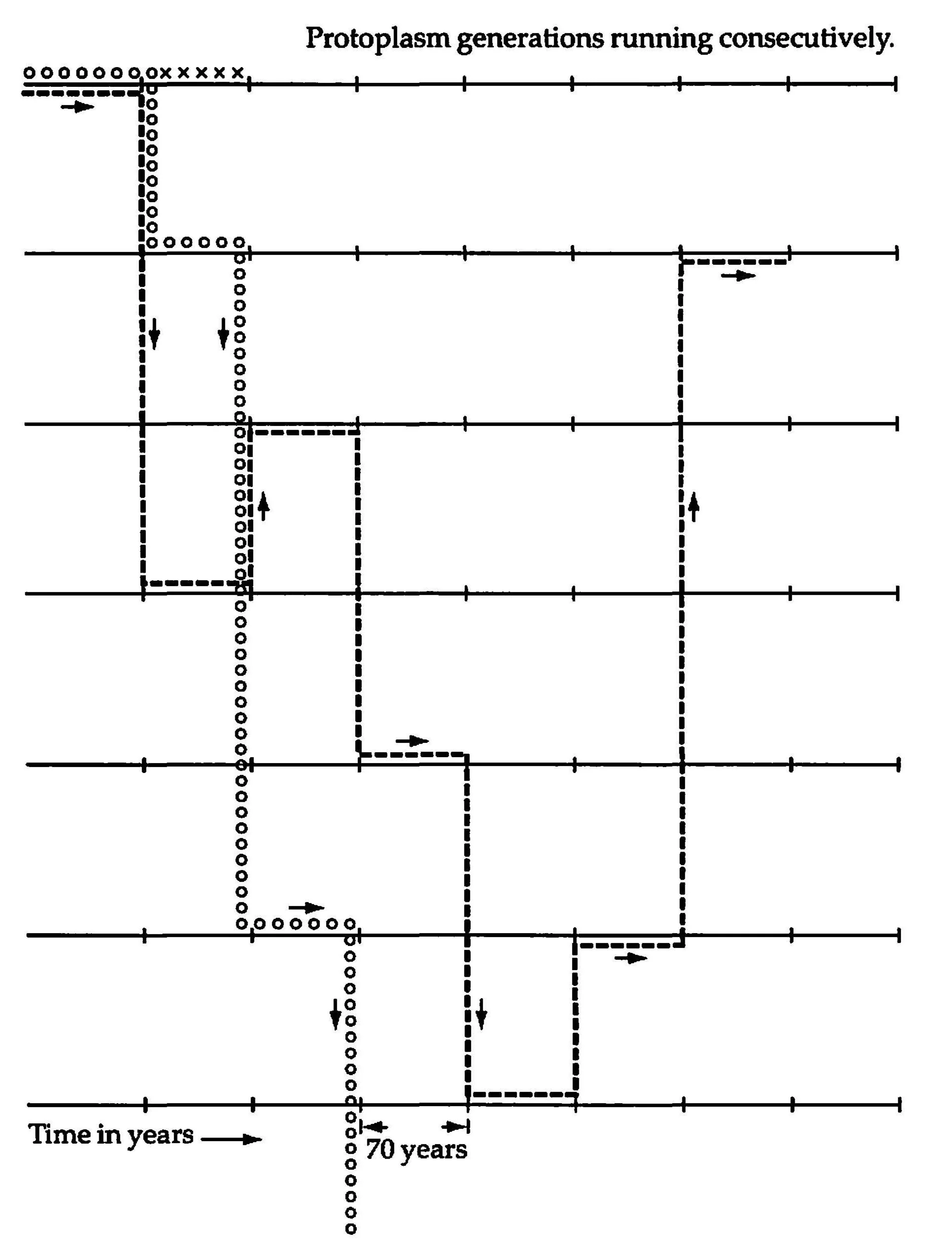 NST #438: Scientology charts, diagrams, and schema (1950- ) — The Vault ...