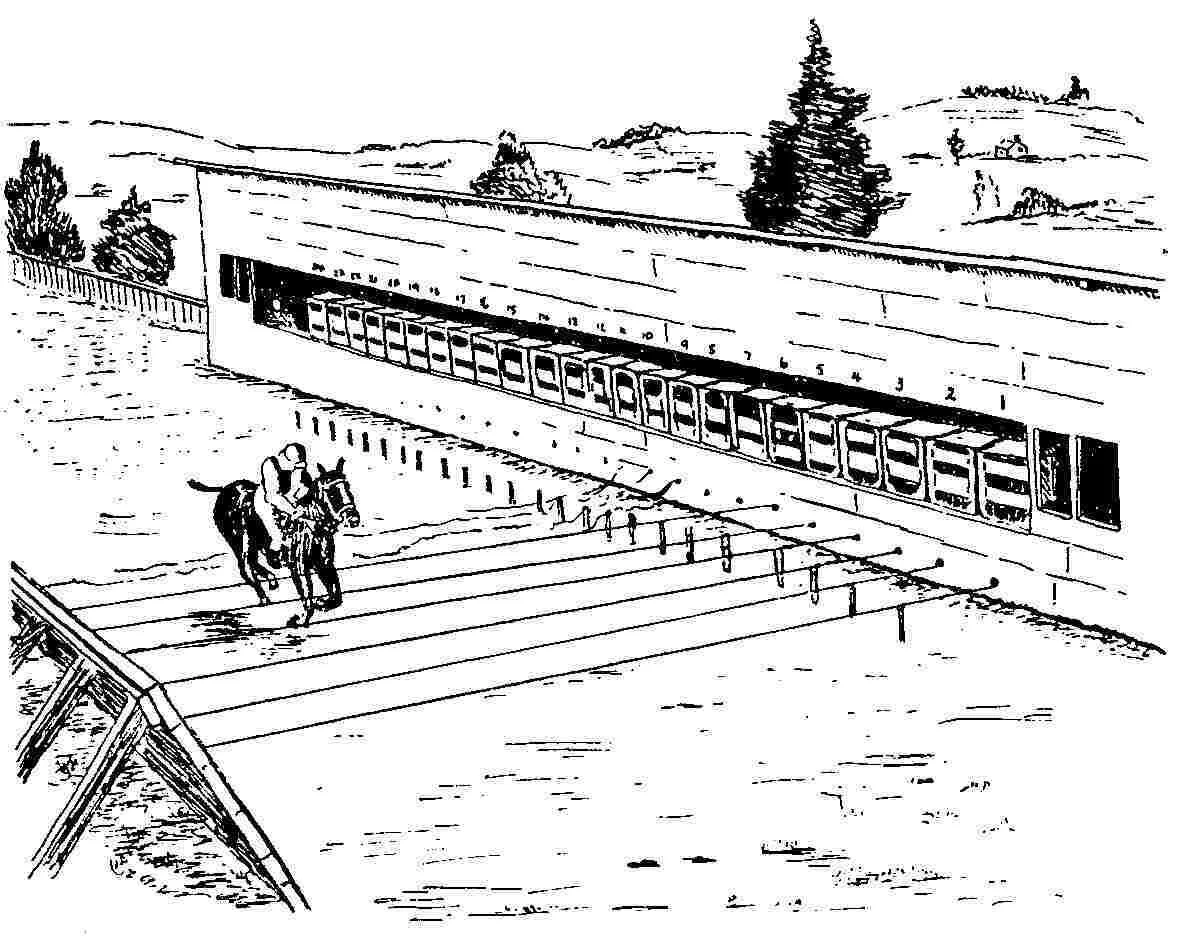 The Animated Legacy of Little Nemo's Walking Bed — The Vault of Culture