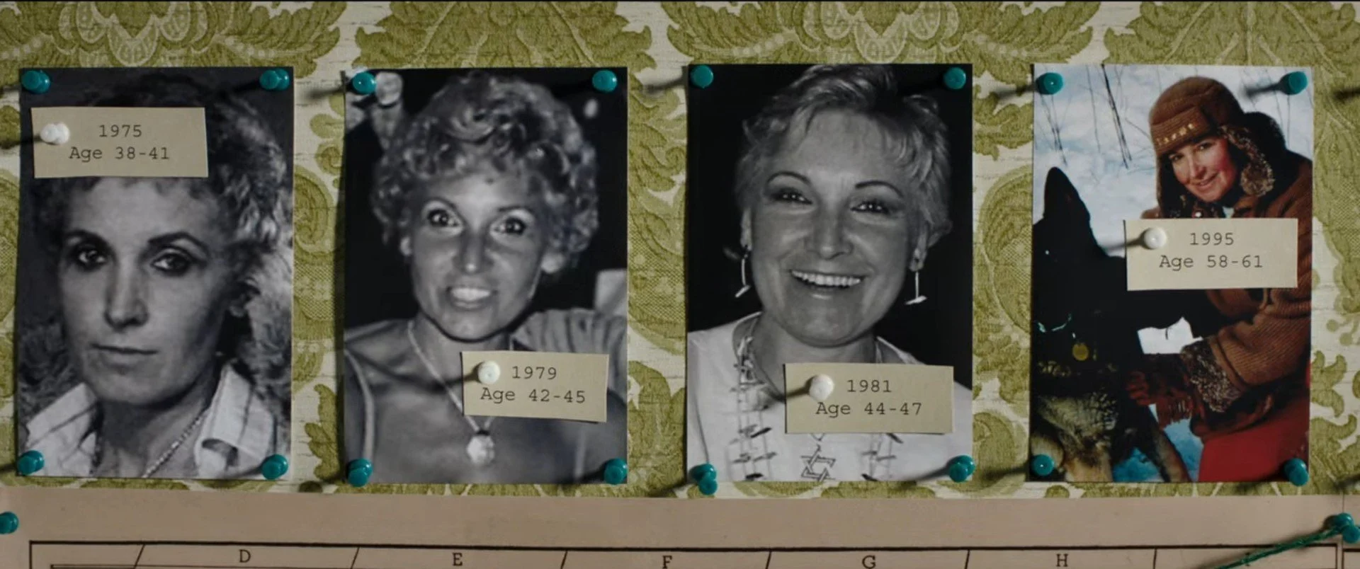 NST #589: Misha and the Wolves (2021) — The Vault of Culture