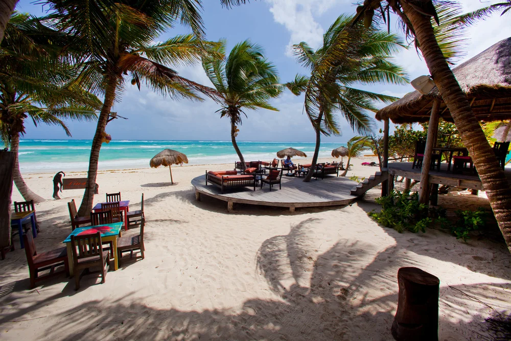 La Zebra, Tulum — Room + Wild