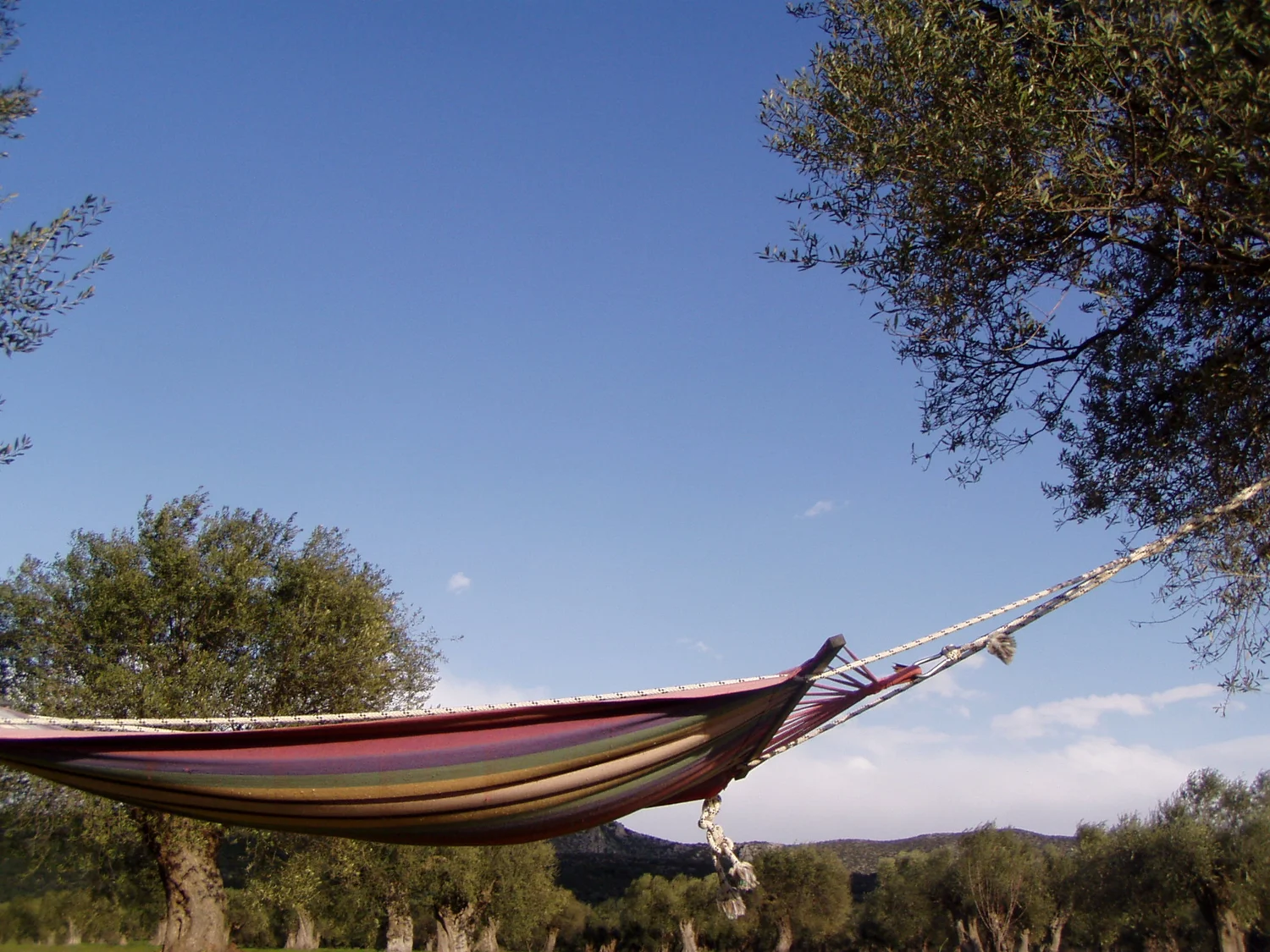 Eumelia Organic Agrotourism Farm, Greece — Room + Wild