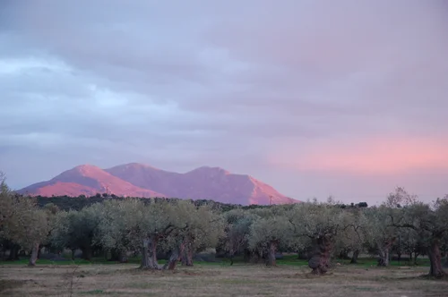 Eumelia Organic Agrotourism Farm, Greece — Room + Wild