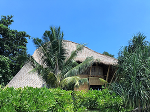 Cempedak Private Island — Room + Wild