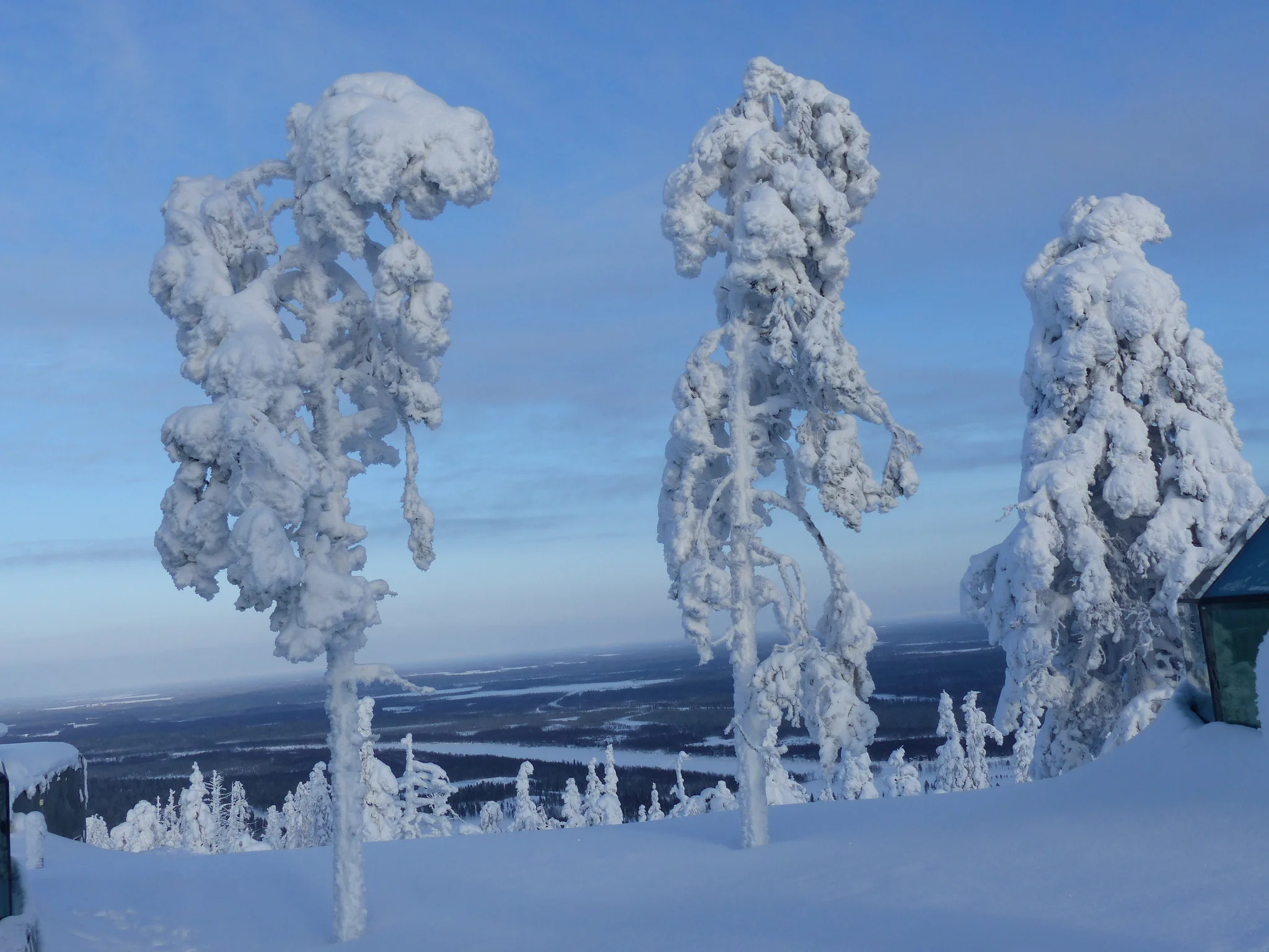 Levin Iglut Glass Igloos, Finland — Room + Wild