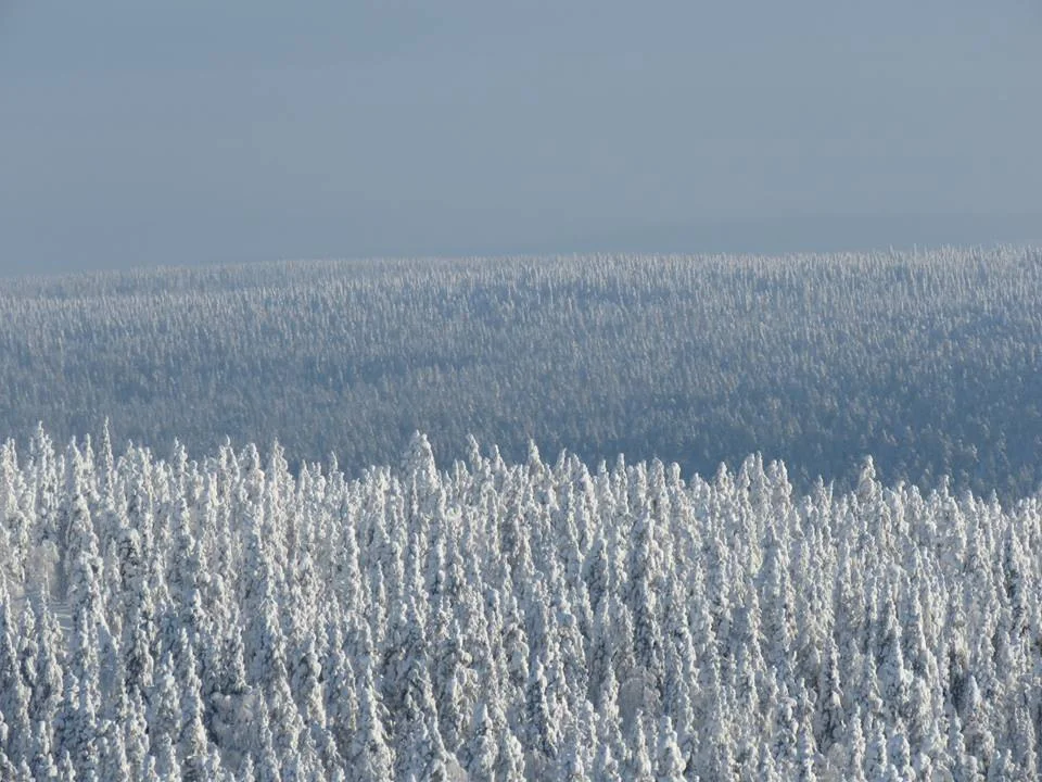 Levin Iglut Glass Igloos, Finland — Room + Wild