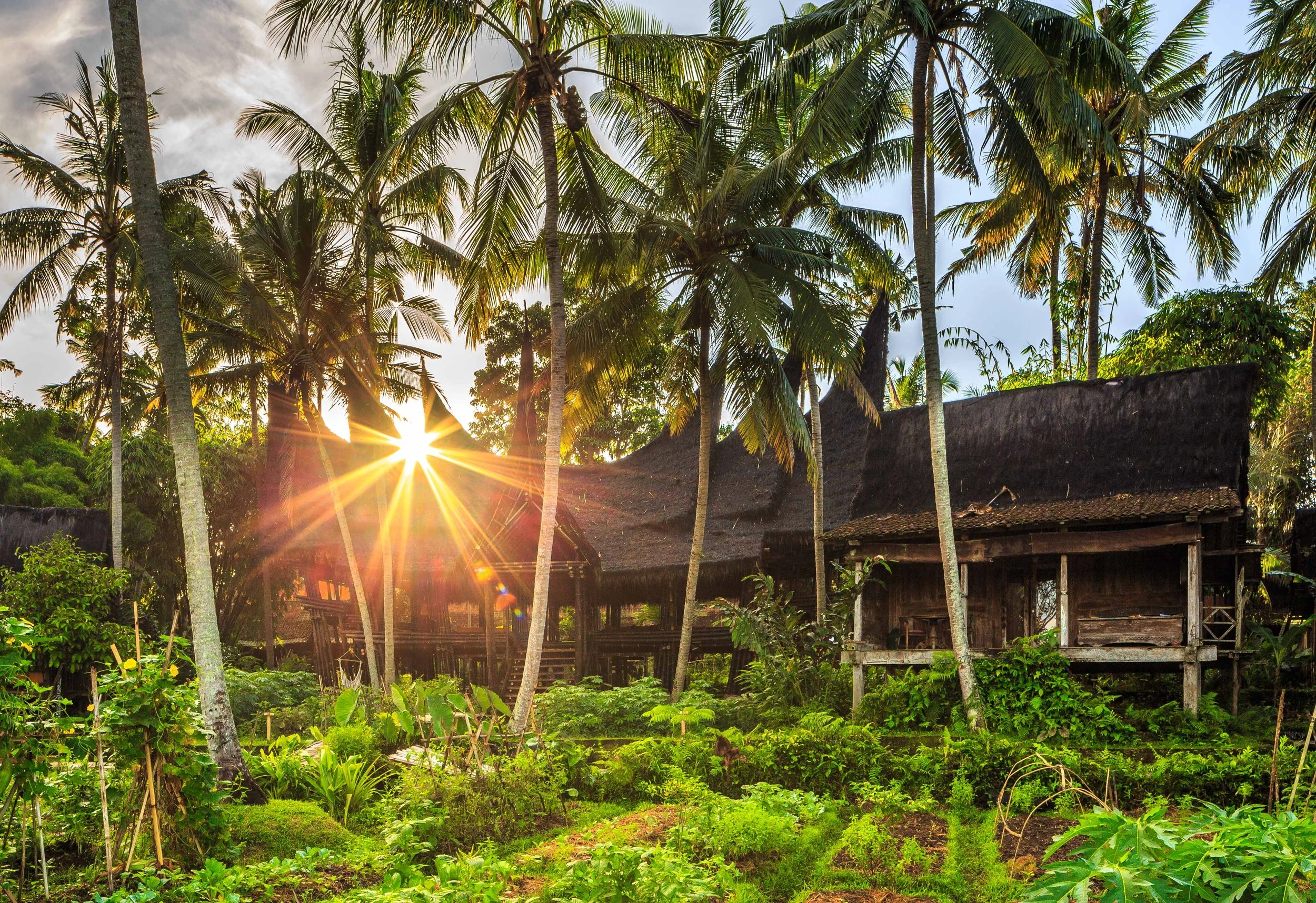 Bambu Indah — Room + Wild