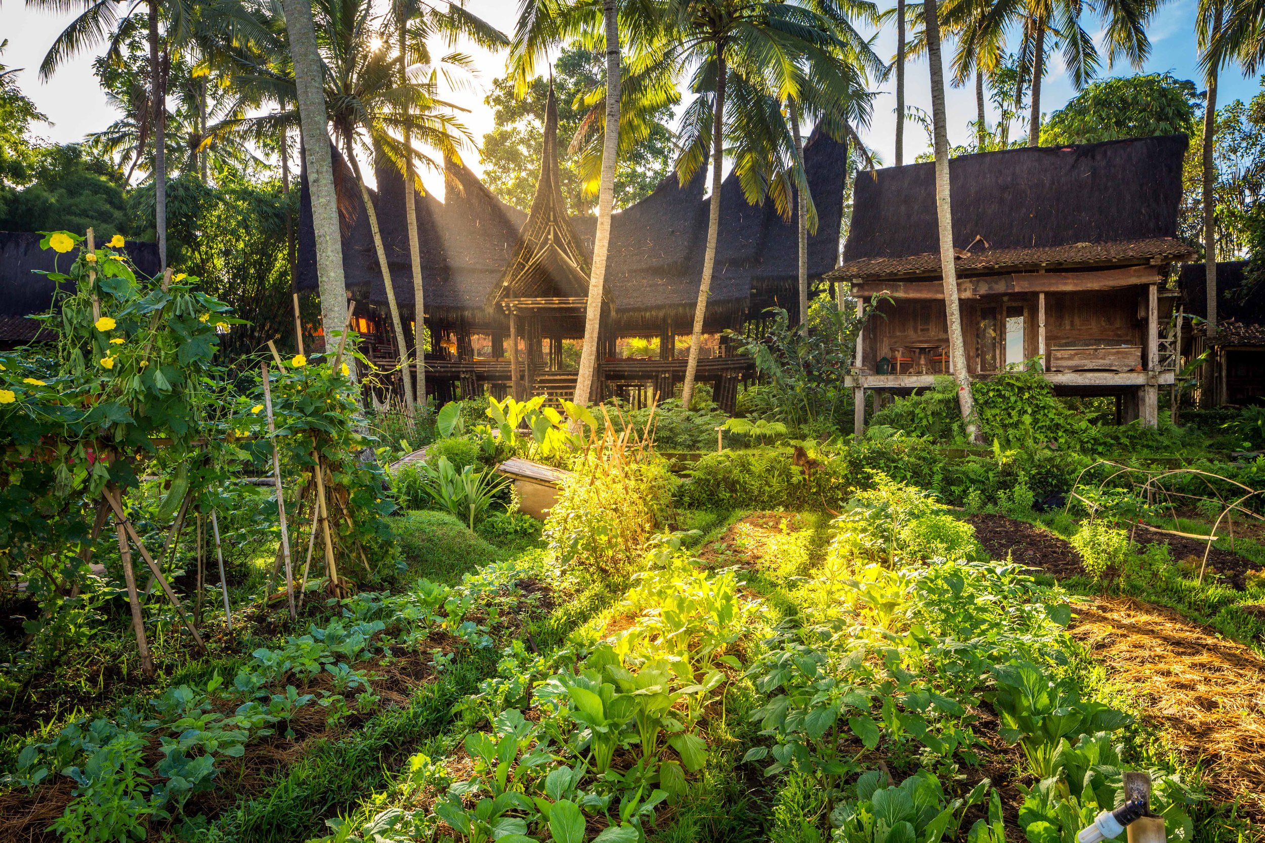 Bambu Indah — Room + Wild