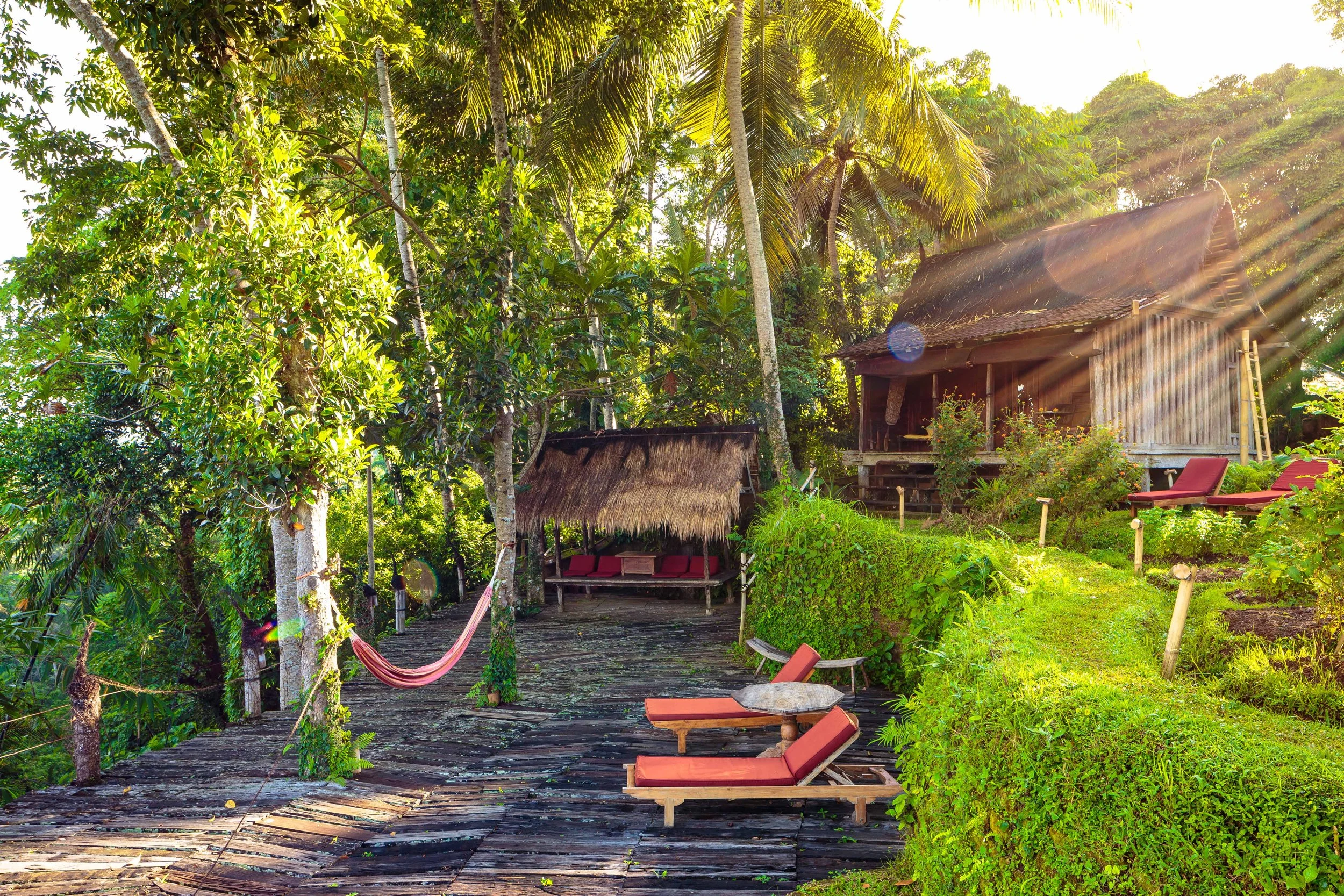 Bambu Indah — Room + Wild