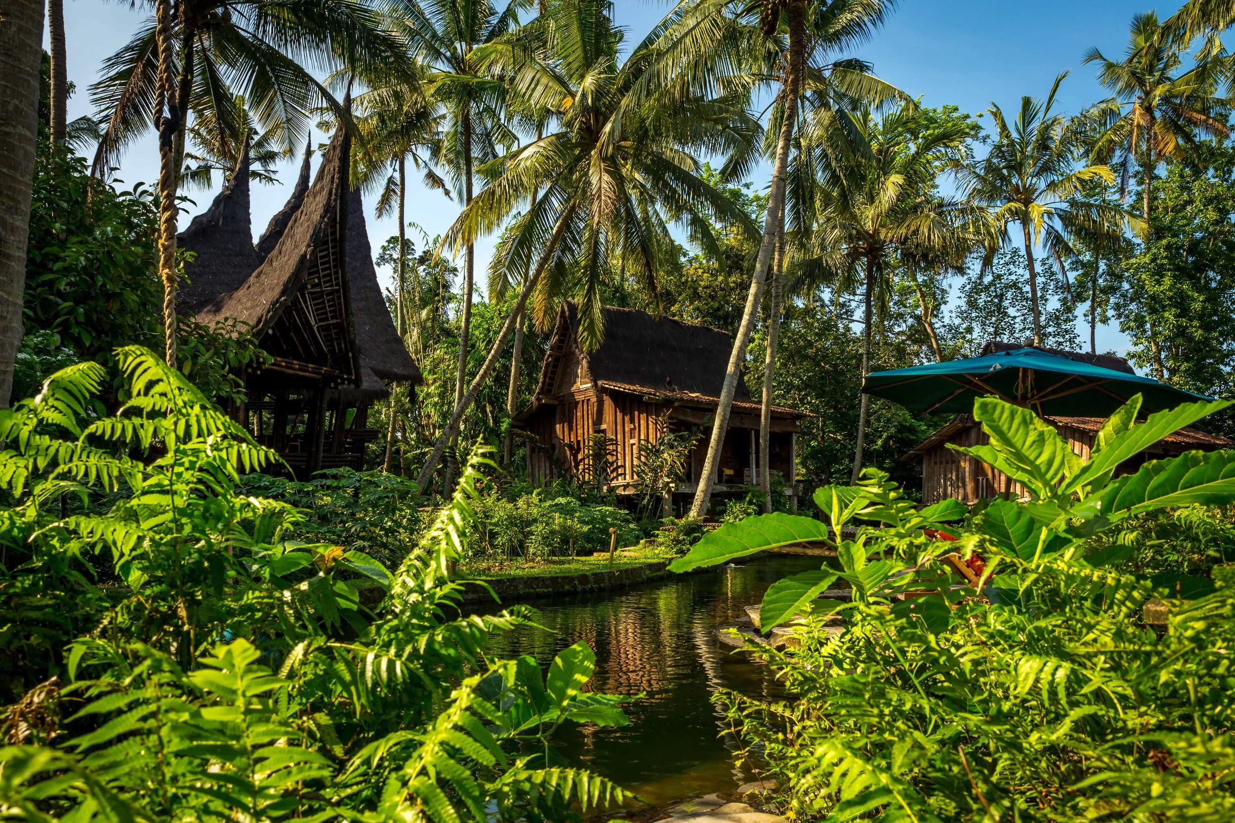 Bambu Indah — Room + Wild