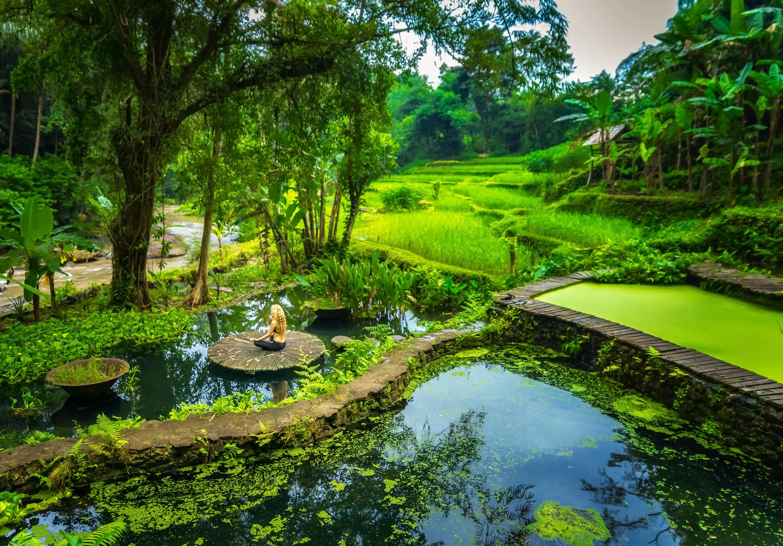 Bambu Indah — Room + Wild