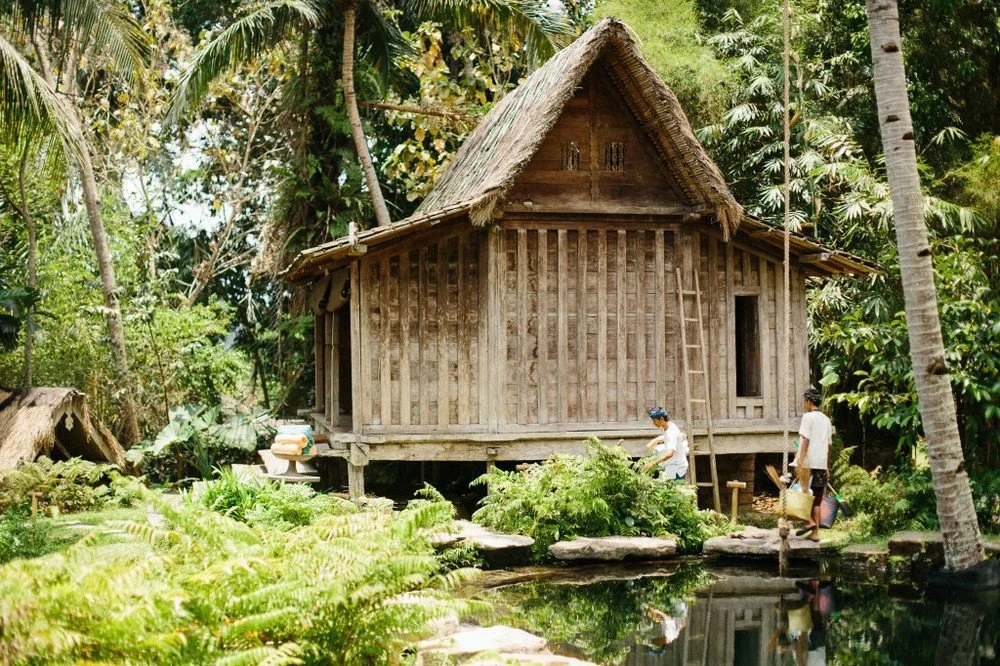 Bambu Indah — Room + Wild