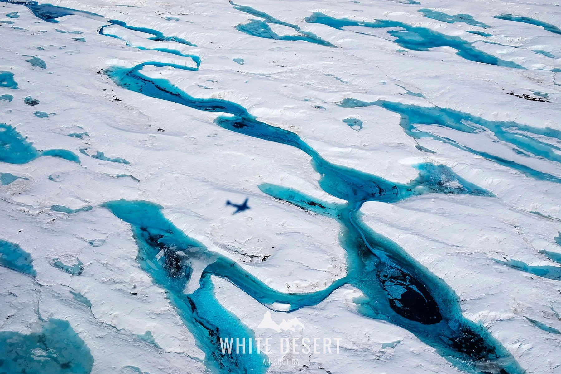 Landscape Hotels of Antarctica — Room + Wild