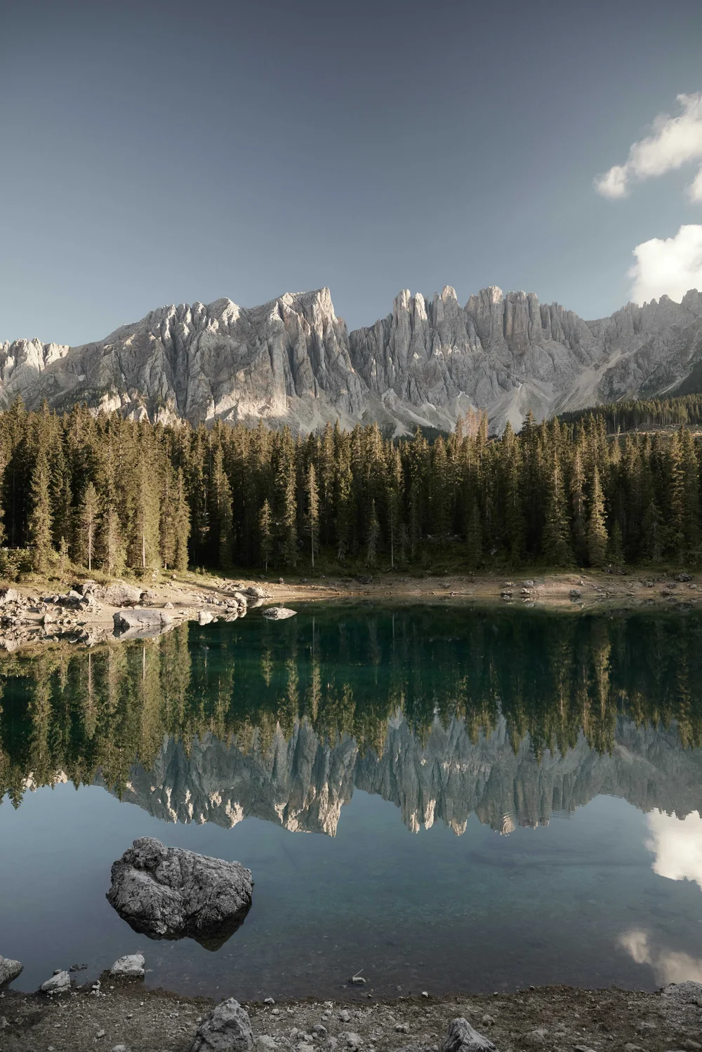 Forestis Dolomites, Italy — Room + Wild