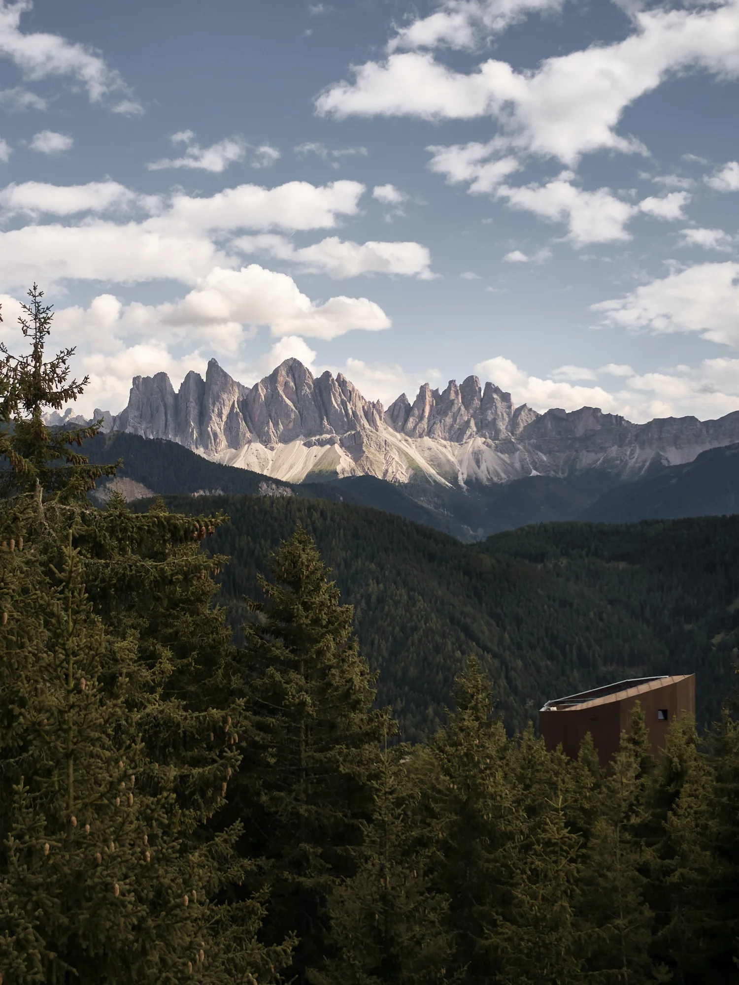 Forestis Dolomites, Italy — Room + Wild