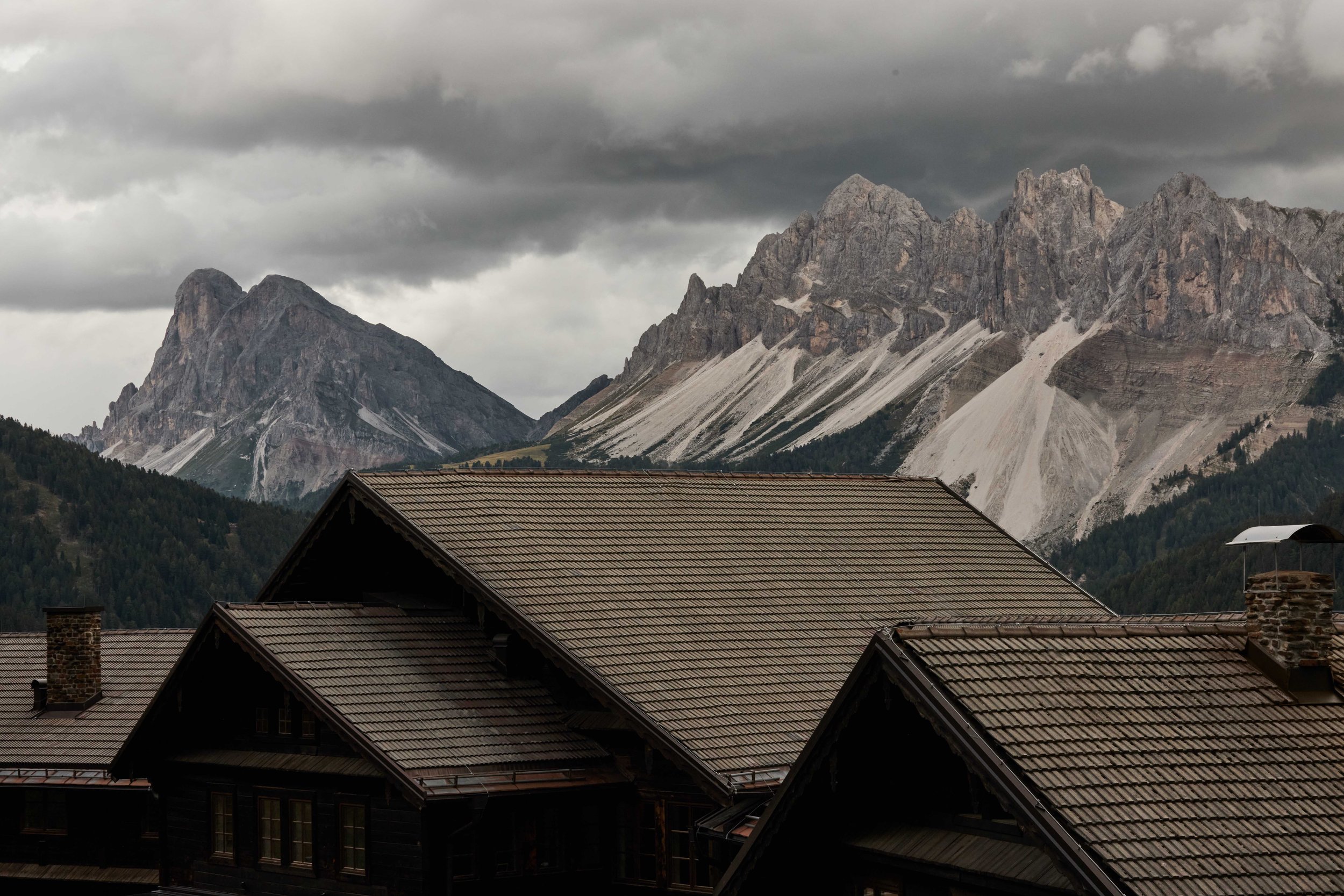 Forestis Dolomites, Italy — Room + Wild