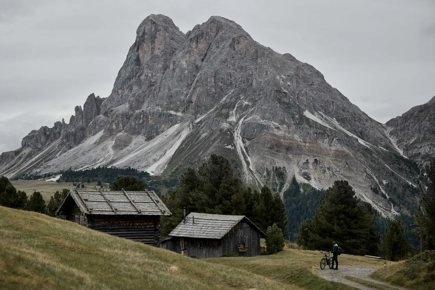 Forestis Dolomites, Italy — Room + Wild