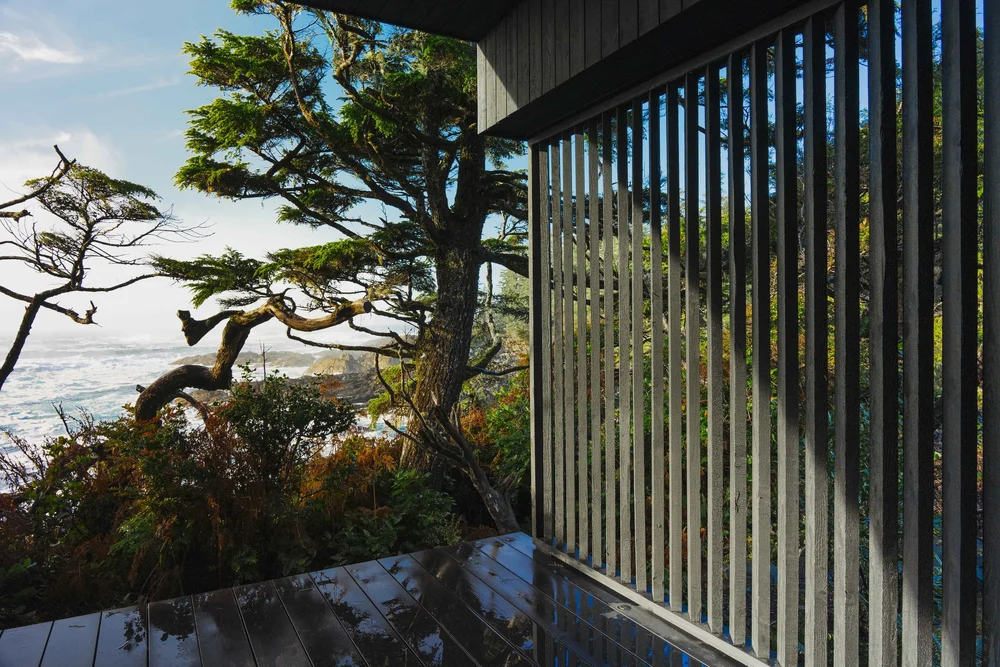 The Nami Project — Room + Wild