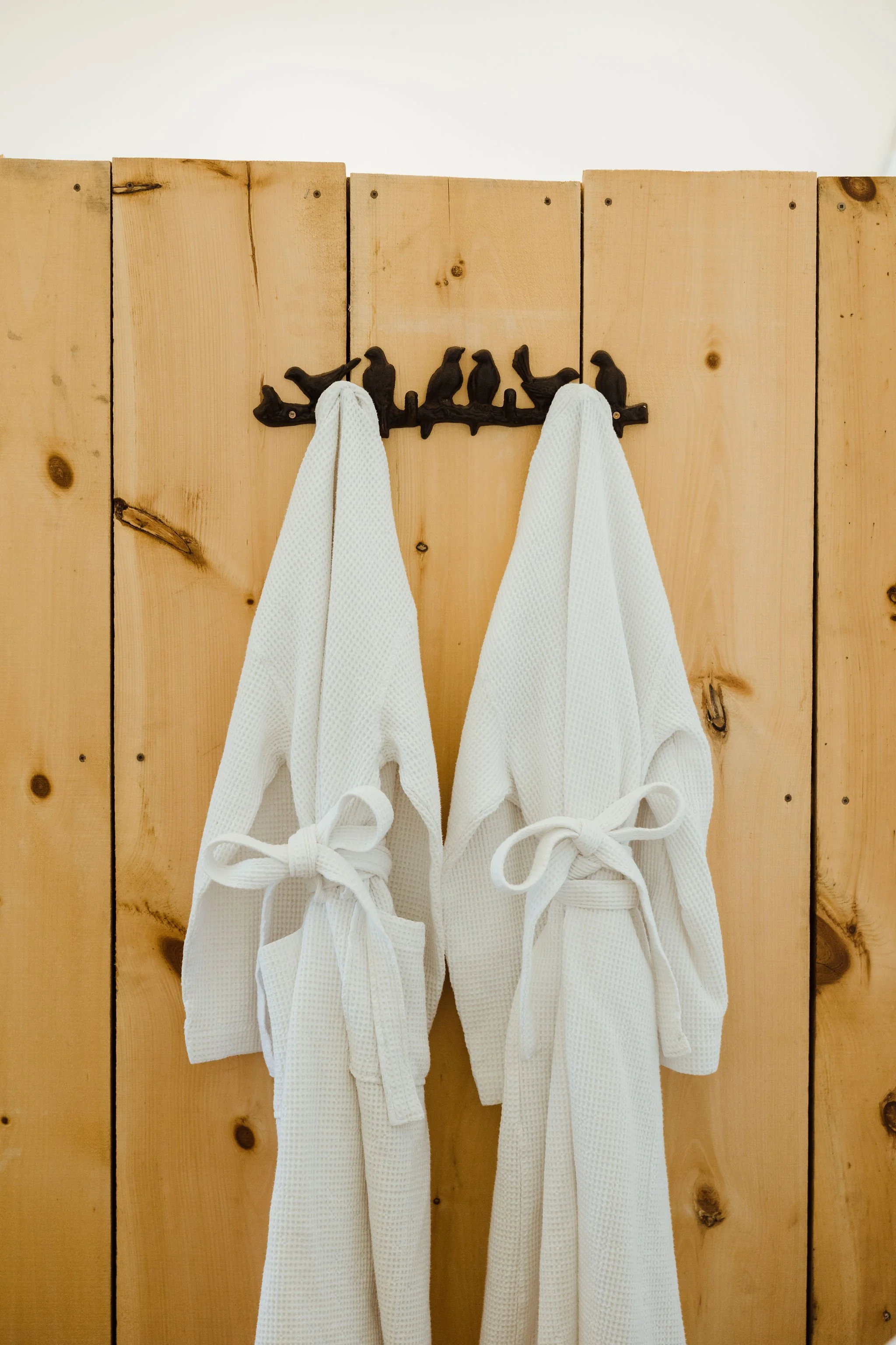 Whispering Springs Wilderness Retreat — Room + Wild