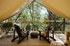 Whispering Springs Wilderness Retreat — Room + Wild