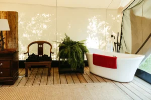 Whispering Springs Wilderness Retreat — Room + Wild