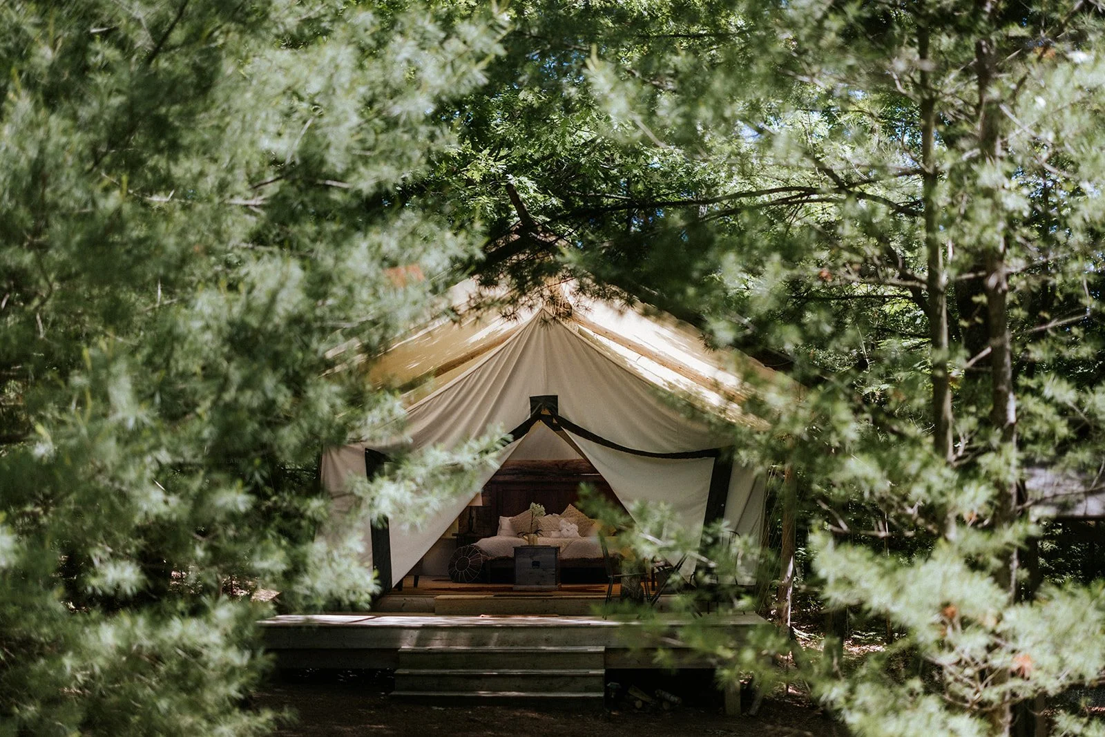 Whispering Springs Wilderness Retreat — Room + Wild