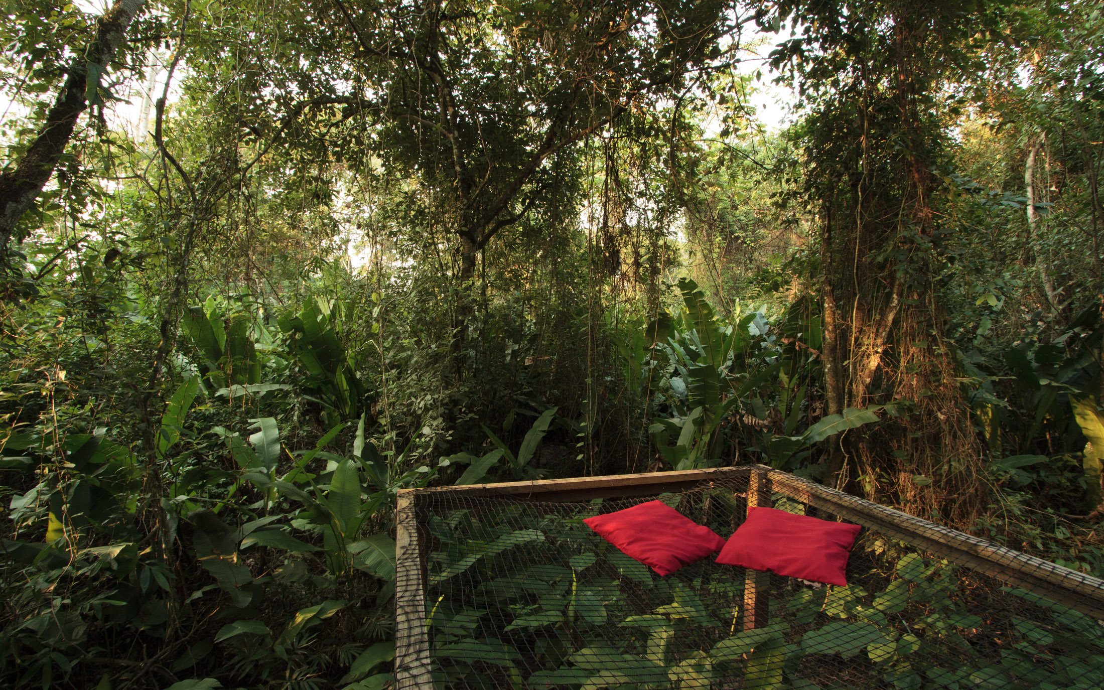 La Manigua Lodge, Colombia — Room + Wild