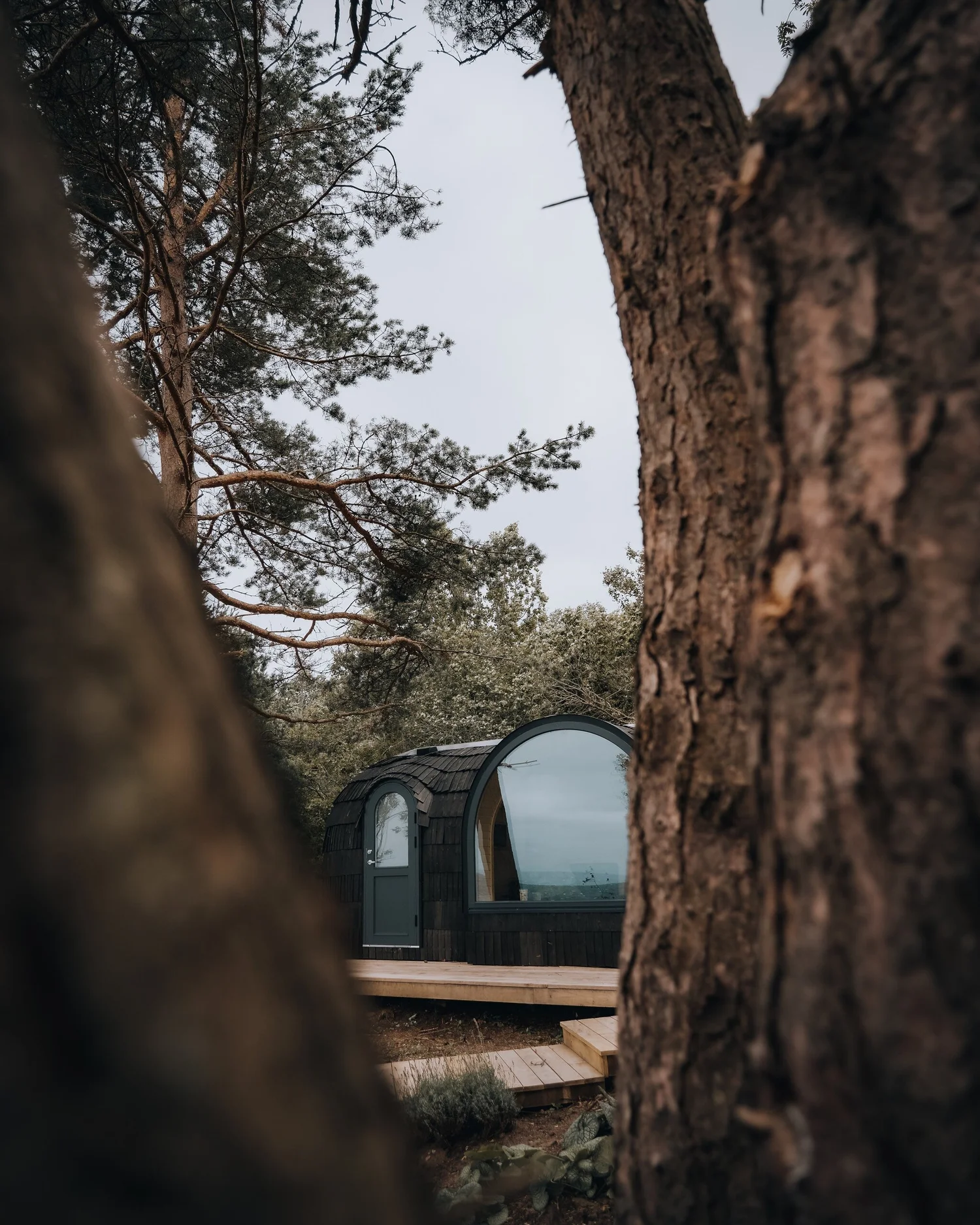Mount Congreve Gardens and Country Estate, Ireland — Room + Wild