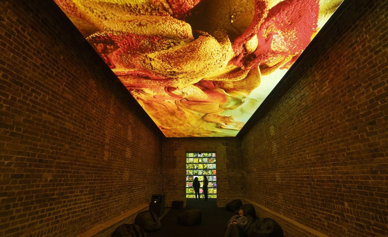 Nature, Memory, AI: Refik Anadol’s Living Art — Room + Wild
