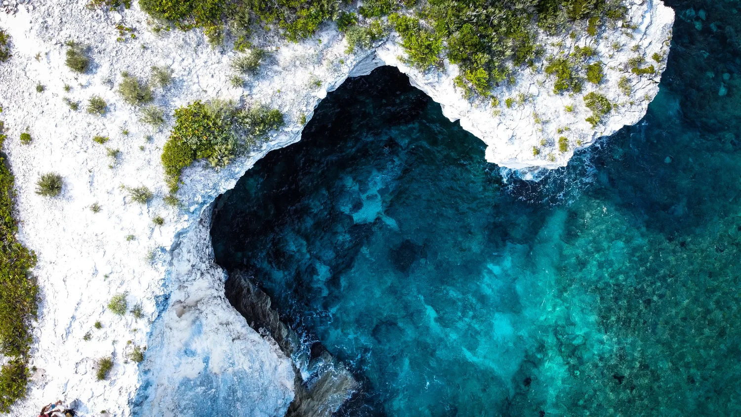 Long Island Bahamas — Room + Wild