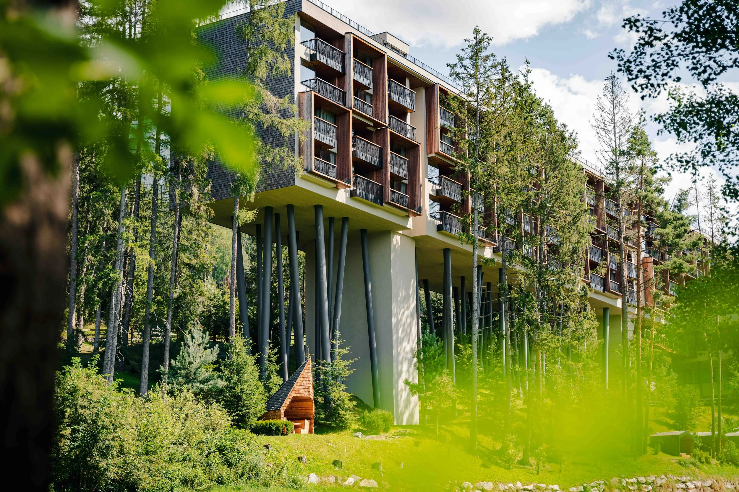 Room + Forest: Treehouse Hotels — Room + Wild