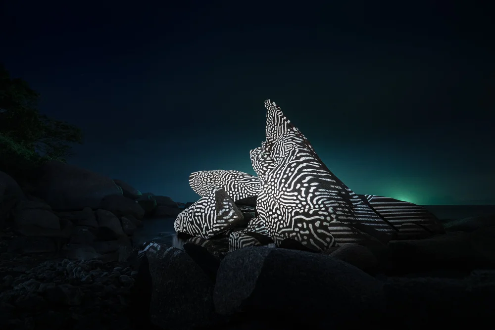 Philipp Frank: The Art of Light and Landscape — Room + Wild